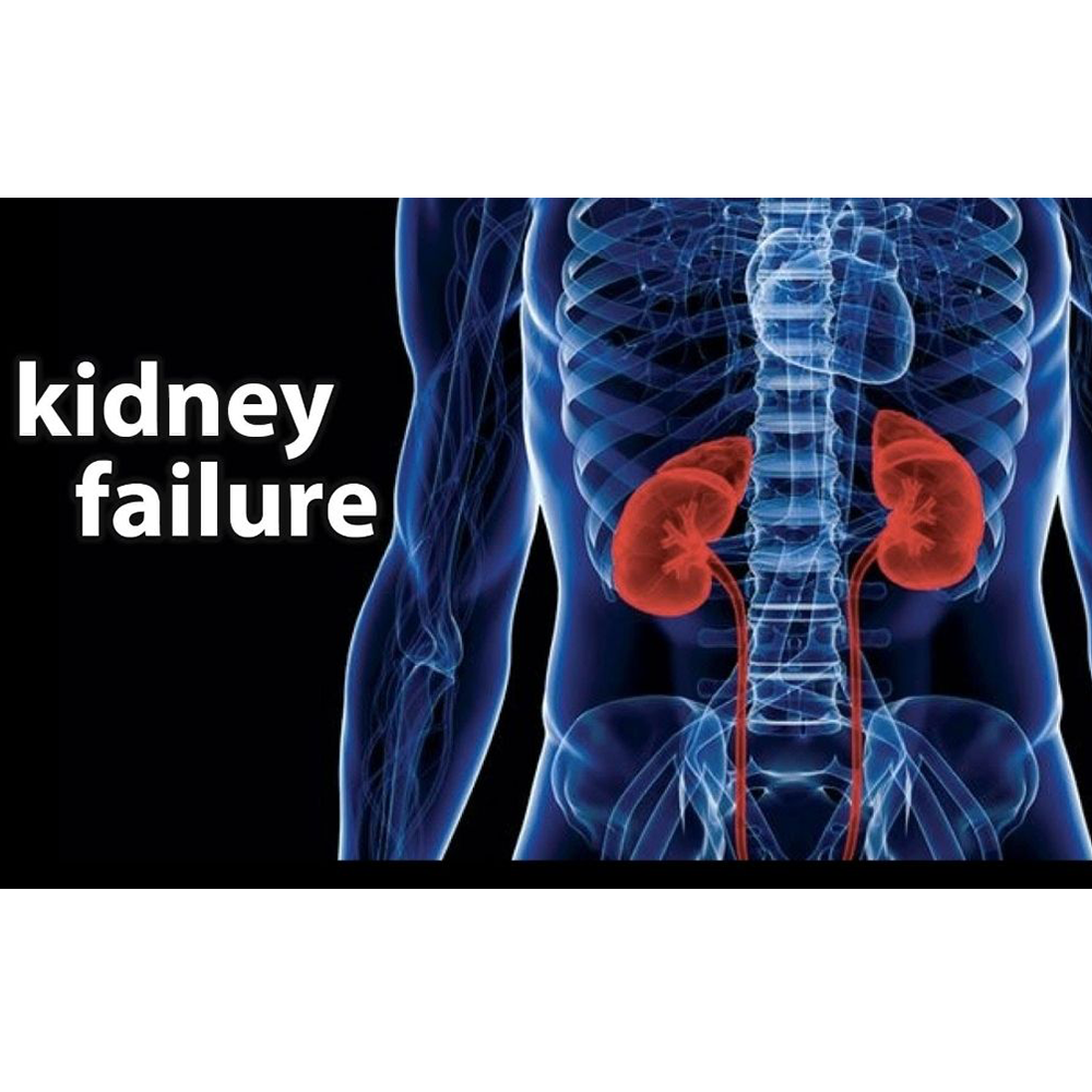 Kidney Problem treatment – Green world health solutions